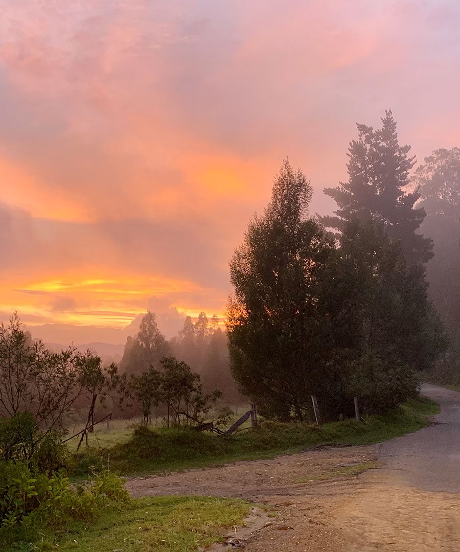 TURISMO SOSTENIBLE - wajari