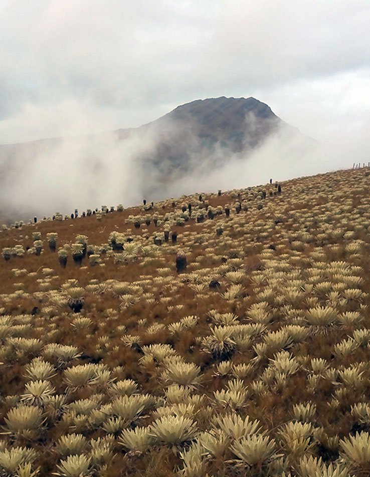 wajari – Creamos soluciones socio-ambientales de alto impacto